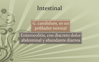 14.geotricosis | PPT