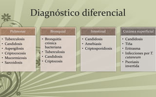 14.geotricosis | PPT