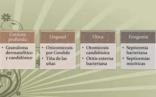 14.geotricosis | PPT