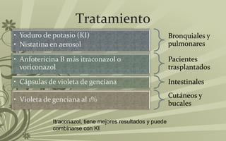 14.geotricosis | PPT
