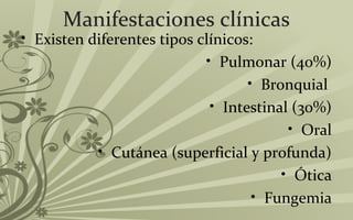 14.geotricosis | PPT