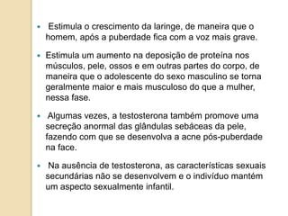 Hormônios Sexuais Masculinos | PPTX