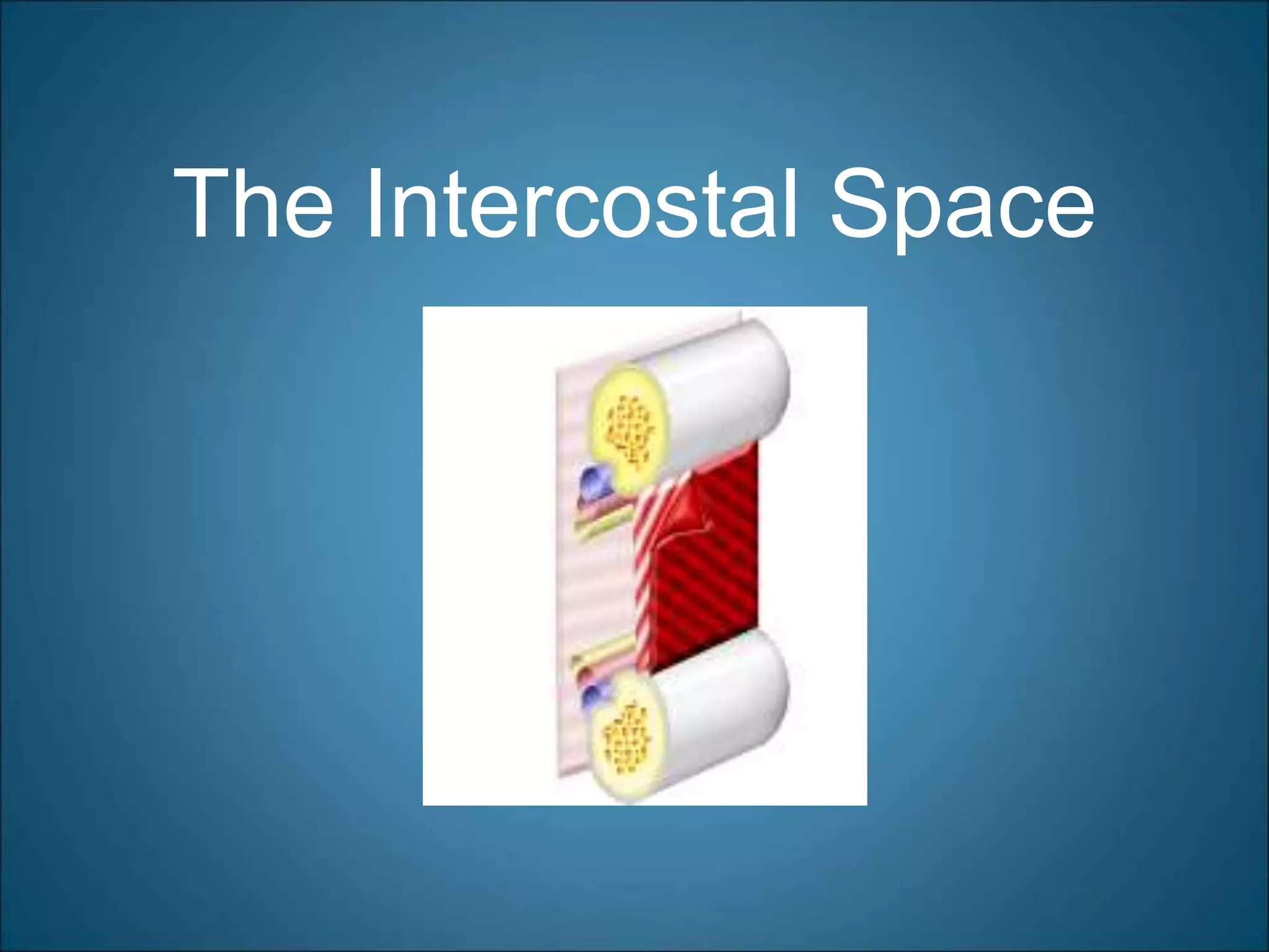 14 - Intercostal Space.ppt