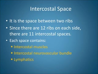 14 - Intercostal Space.ppt