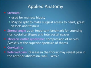 14 - Intercostal Space.ppt