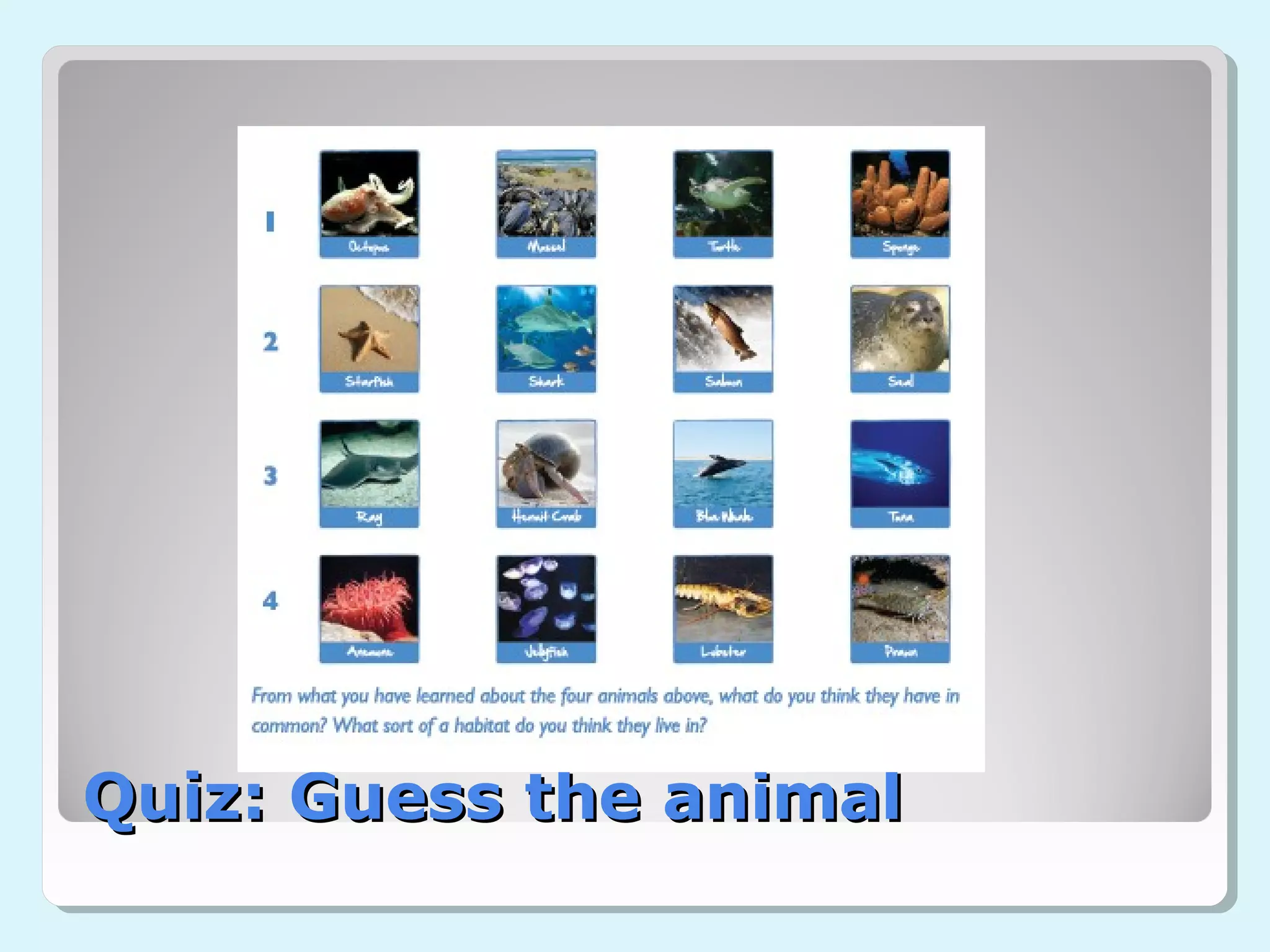 14. marine ecosystems | PPT