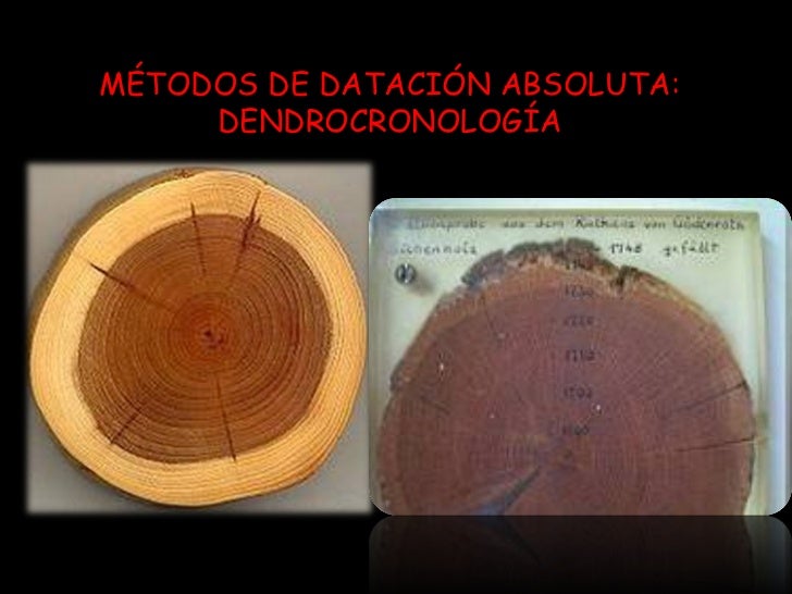 Metodo De Datacion Absoluta Dendrocronologia - Servicio De Citas En ...