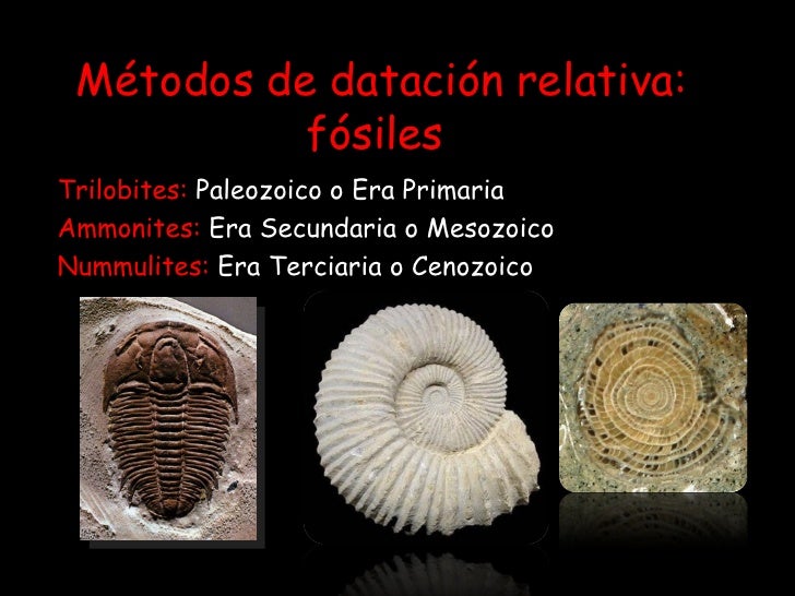 Que Es La Datacion Relativa De Los Fosiles - pedir cita medico castellon