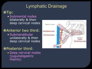 14-ORAL CAVITY.ppt