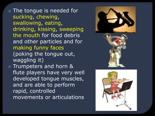 14-ORAL CAVITY.ppt
