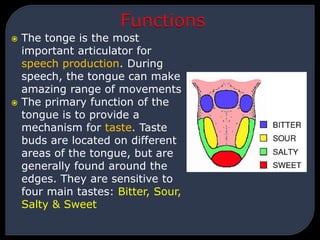 14-ORAL CAVITY.ppt