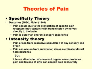 14. pain 08-09 | PPT