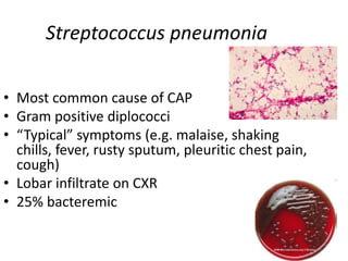 14- Pneumonia medical lecture.pptttttttt | PPT
