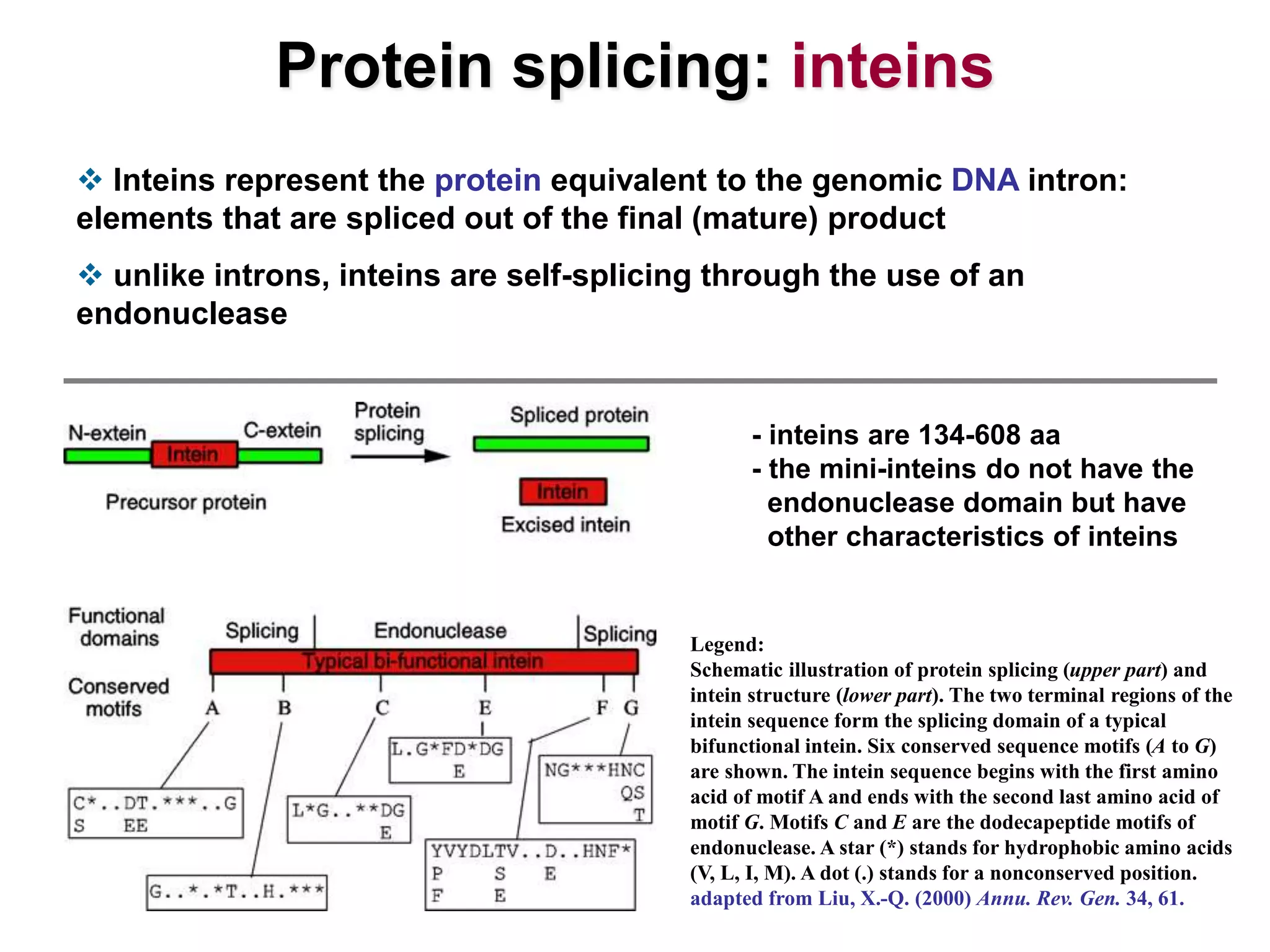 Post Translational modifications | PPT