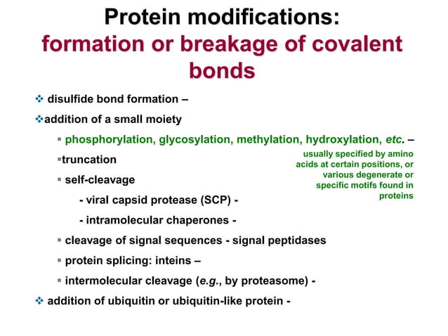 Post Translational Modifications Ppt