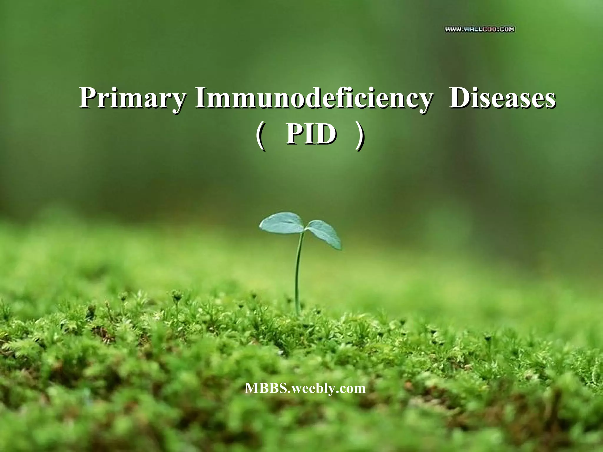 14 Primary Immunodeficiency Diseases | PPT