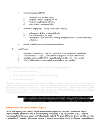 14 respiratory phys | DOC