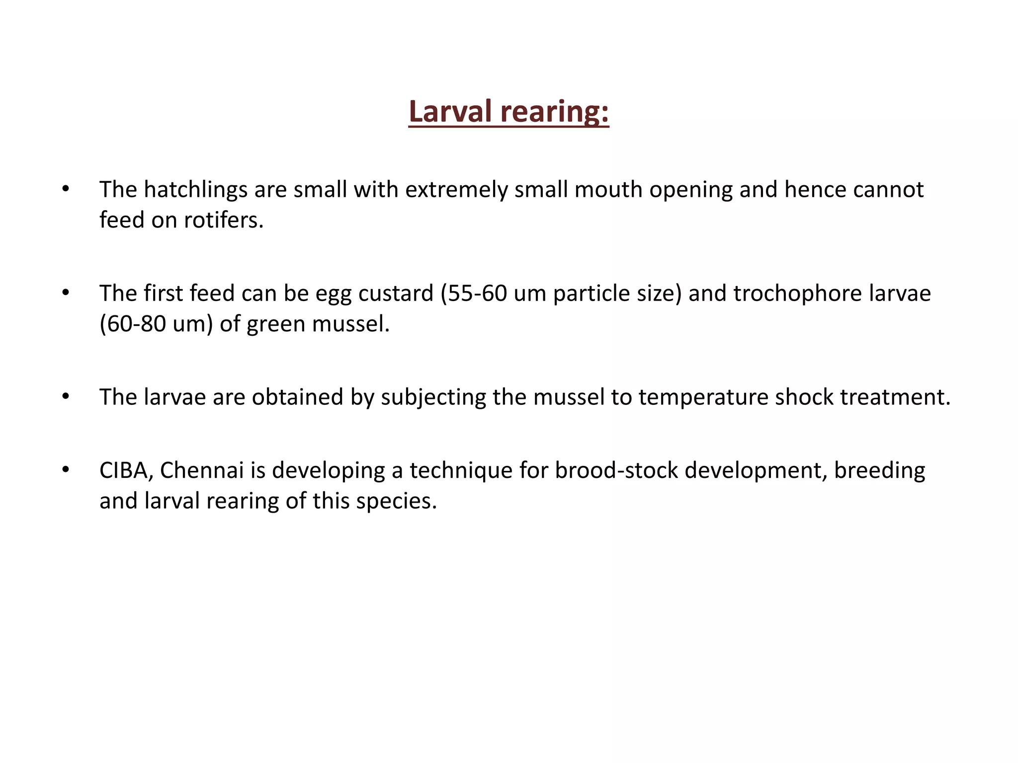 14 - Seed production of groupers.ppt