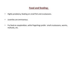 14 - Seed production of groupers.ppt