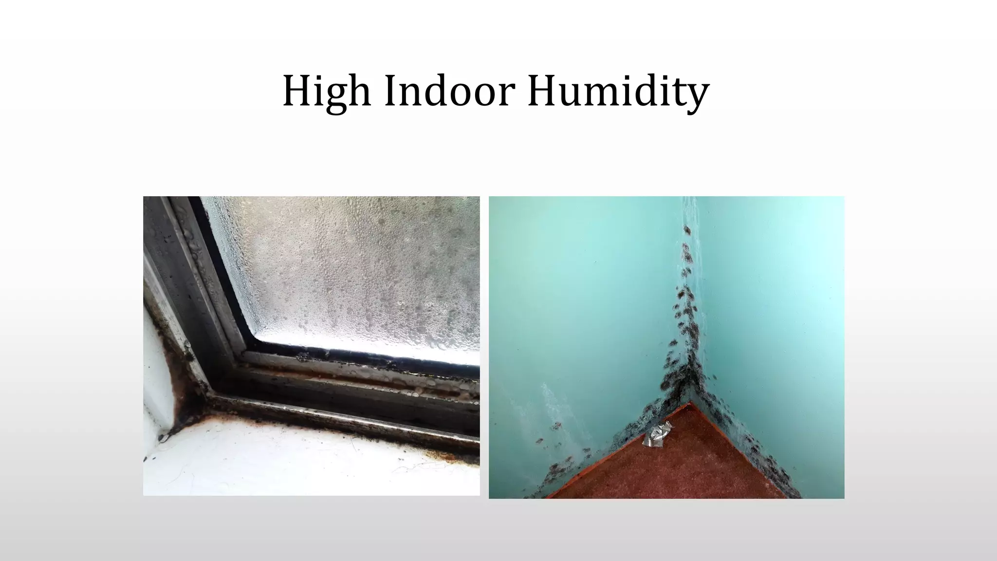 Moisture Buffering and Ventilation Strategies to Control Indoor ...