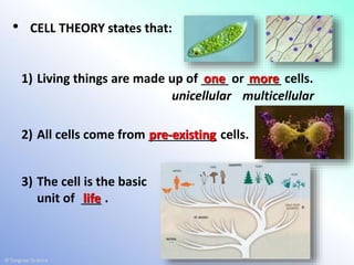 14 the characteristics of life - power point | PPT