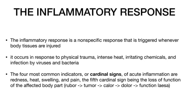 14 - The Lymphatic System & Basic Immunology (2024 Revised).pdf