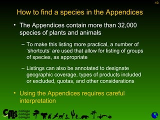 Using Appendices | PPT