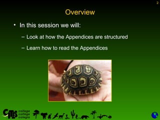 Using Appendices | PPT