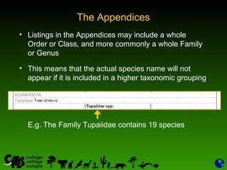 Using Appendices | PPT