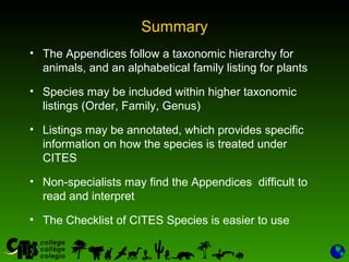 Using Appendices | PPT