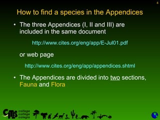 Using Appendices | PPT