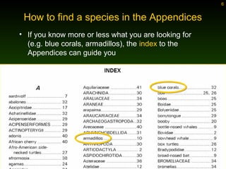Using Appendices | PPT | Free Download