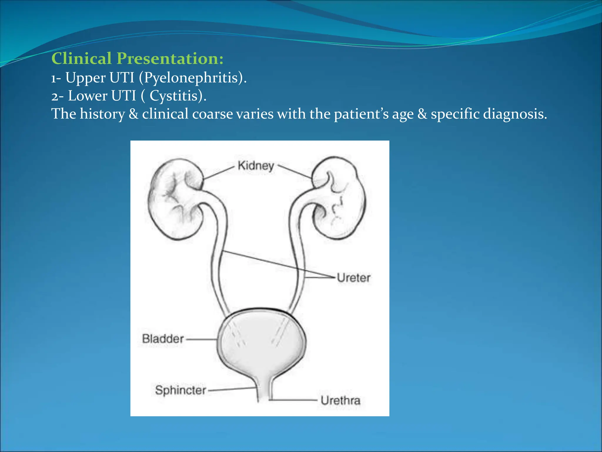 14- UTI IN CHILDREN STUdent and what causes | PPT