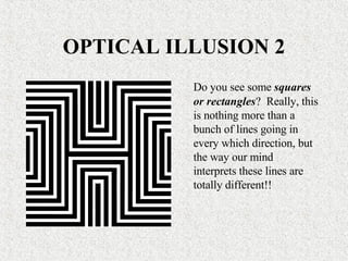 Illusions | PPT