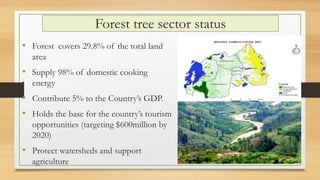 IUCN, Forest Landscape Restoration in Rwanda (Felix Rurangwa) | PPT