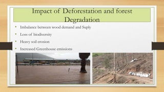 IUCN, Forest Landscape Restoration in Rwanda (Felix Rurangwa) | PPT