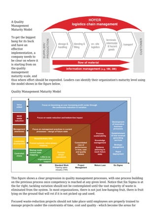 Assess the Maturity of an Organization to Realize Process Improvement ...