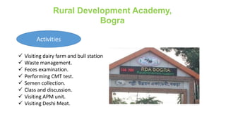 BAU internship activities | PPT