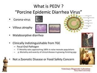 Dr. Rodger Main - PEDV's Emergence in the US: Status Report ...