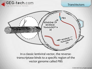 Three types of Lentiviral Vectors - by GEG-tech.com