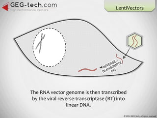 Three types of Lentiviral Vectors - by GEG-tech.com