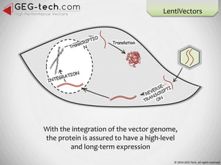 Three types of Lentiviral Vectors - by GEG-tech.com
