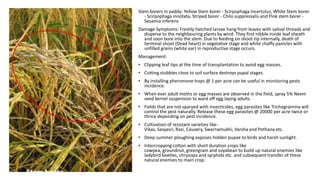 Organic Pest and Disease Management in Vegetables | PPTX