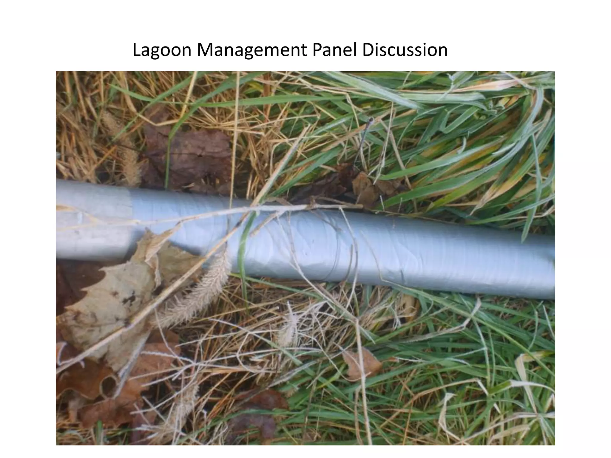 Jeff Browning, David Stephens, Michael Heaton, and Jerry Foster ...