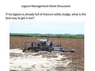 Jeff Browning, David Stephens, Michael Heaton, and Jerry Foster ...