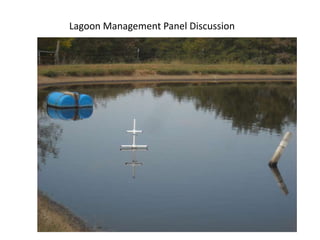 Jeff Browning, David Stephens, Michael Heaton, and Jerry Foster ...