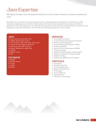 Net Solutions JAVA Development Brochure | PDF