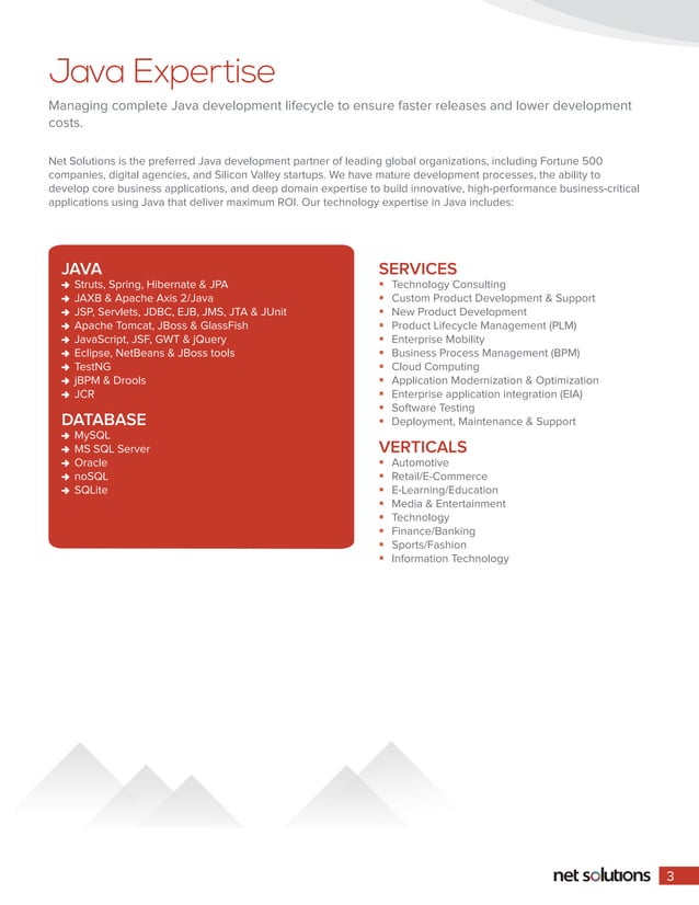 Net Solutions JAVA Development Brochure | PDF