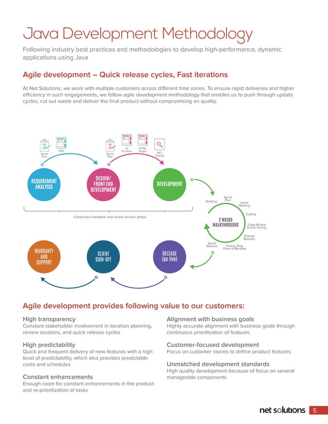 Net Solutions JAVA Development Brochure | PDF