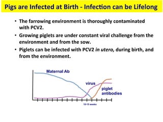 Dr. Michael Murtaugh and Dr. Cheryl Dvorak - Natural Infection ...